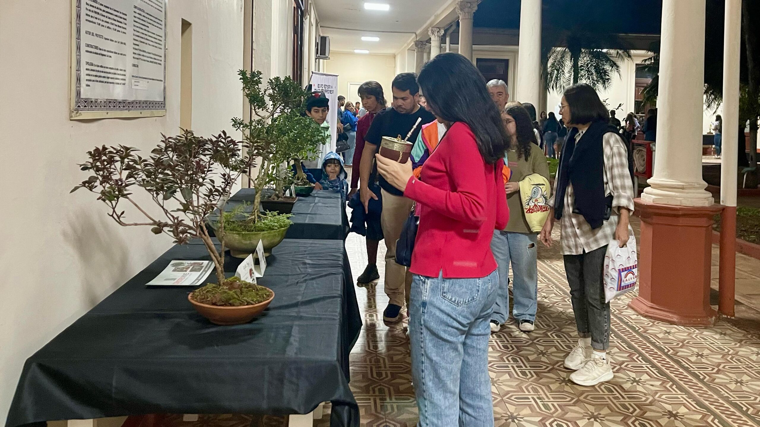 Exitosa inauguración de “La Expo Bonsái y Cultura Japonesa” en Posadas ...